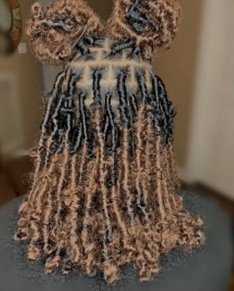 70 Butterfly Locs With Color Photos 2024 for Haircut Inspiration