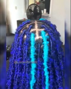 70 Butterfly Locs With Color Photos 2024 for Haircut Inspiration