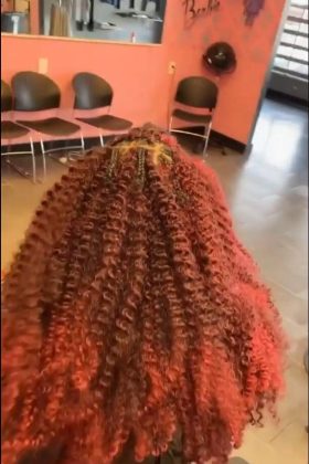 70 Butterfly Locs With Color Photos 2024 for Haircut Inspiration