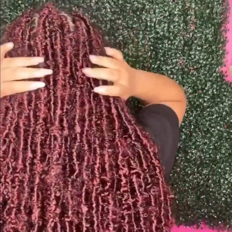 70 Butterfly Locs With Color Photos 2024 for Haircut Inspiration