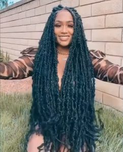 70 Butterfly Locs With Color Photos 2024 for Haircut Inspiration