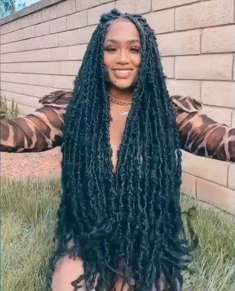 70 Butterfly Locs With Color Photos 2024 for Haircut Inspiration