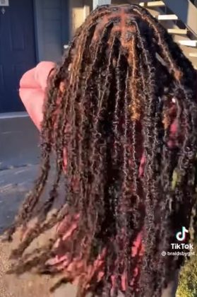 70 Butterfly Locs With Color Photos 2024 for Haircut Inspiration