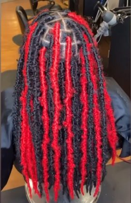 70 Butterfly Locs With Color Photos 2024 for Haircut Inspiration