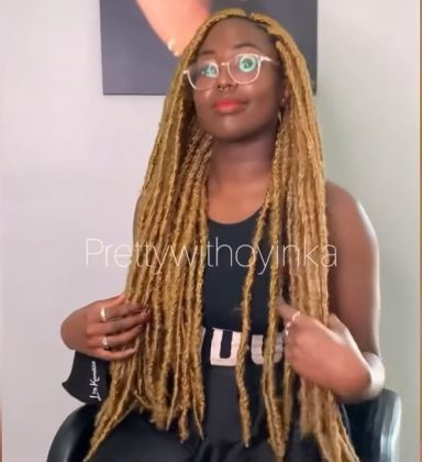 70 Butterfly Locs With Color Photos 2024 for Haircut Inspiration