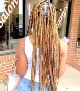 44 Knotless Braids With Color Photos for Haircut Ideas