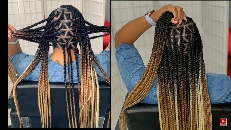 44 Knotless Braids With Color Photos for Haircut Ideas